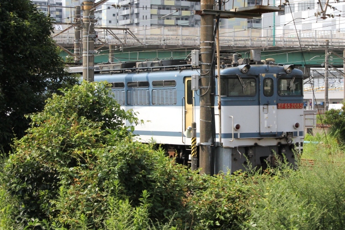 EF65－1085 (→2085) (新) - 特集：21世紀になっても活躍する標準直流電気機関車「EF65形」